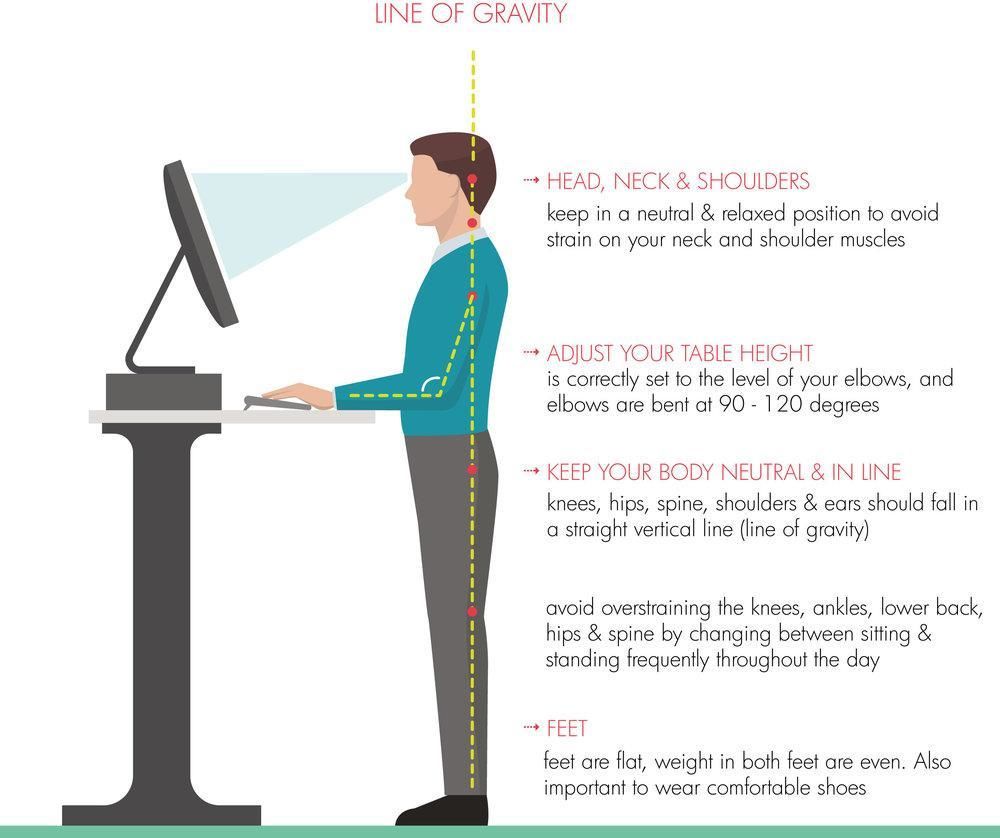 Ergonomics of Sitting at a Computer Desk - Guide To Prevent Injury ...